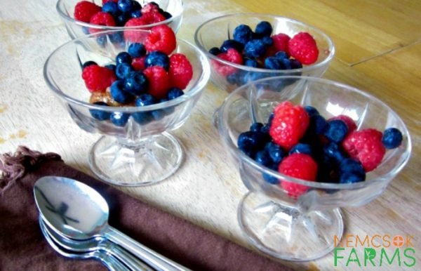 Apple Berry Stew