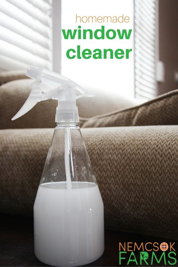 Homemade Window Cleaner