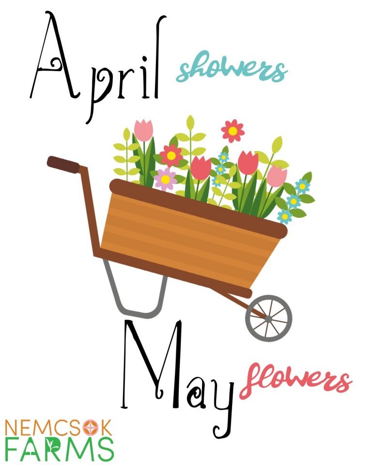 April Showers Printable Wall Art